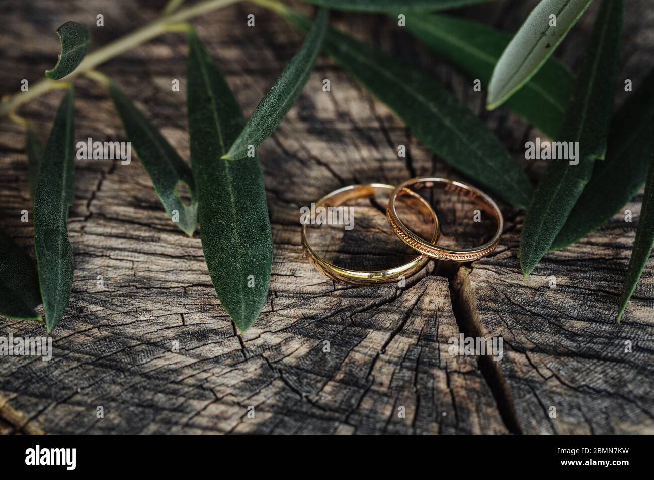 wedding rings close up Stock Photo - Alamy