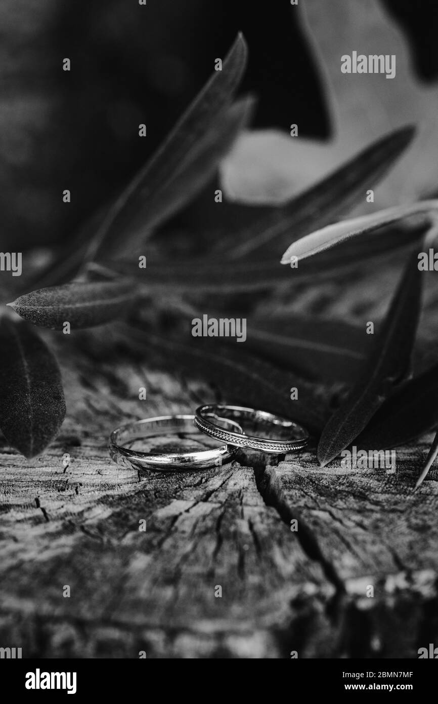 wedding rings close up Stock Photo - Alamy