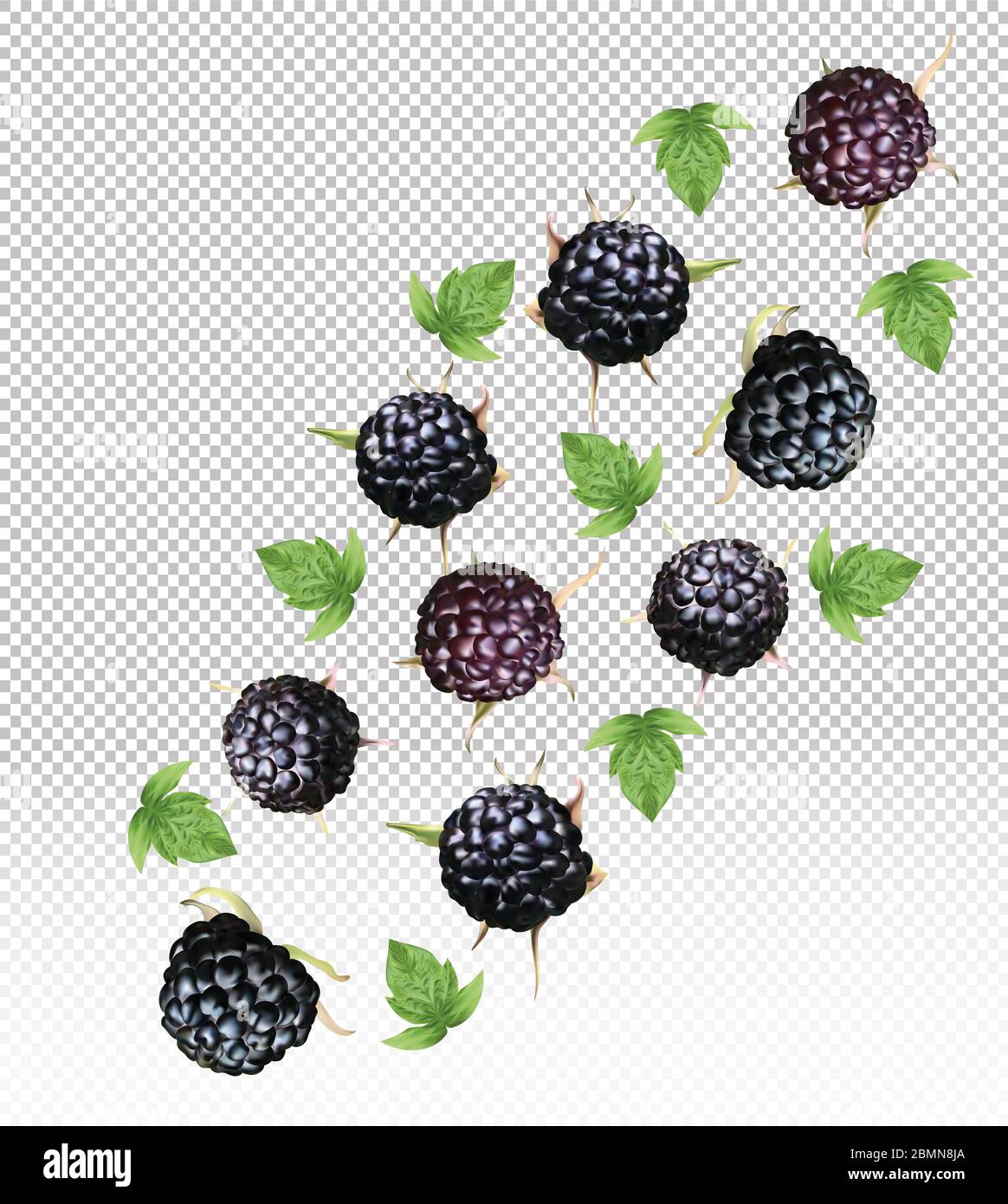 Set of black raspberry with leaves on transparent background. Fresh ...