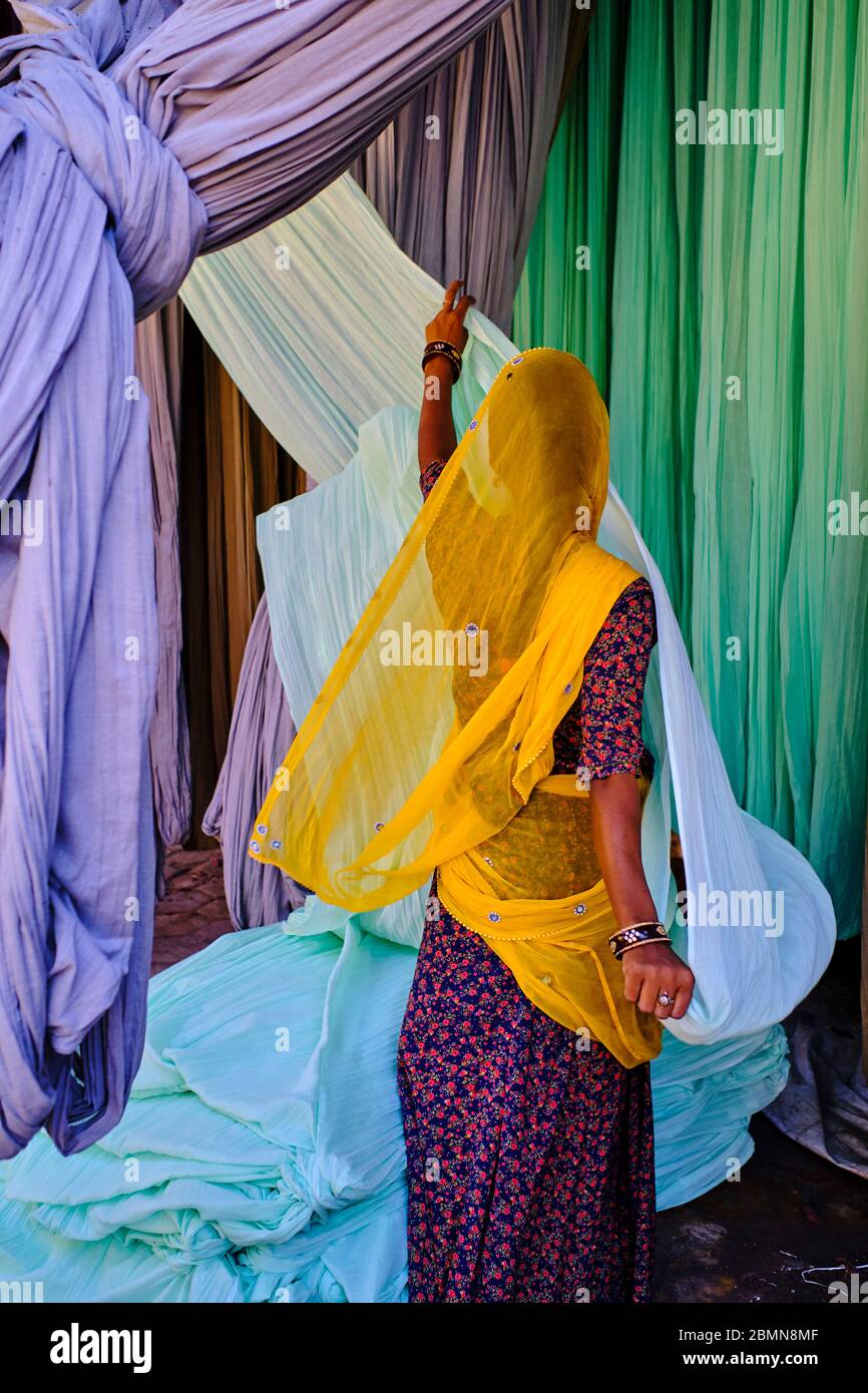 India, Rajasthan, Sari Factory, Textile are dried in the open air ...