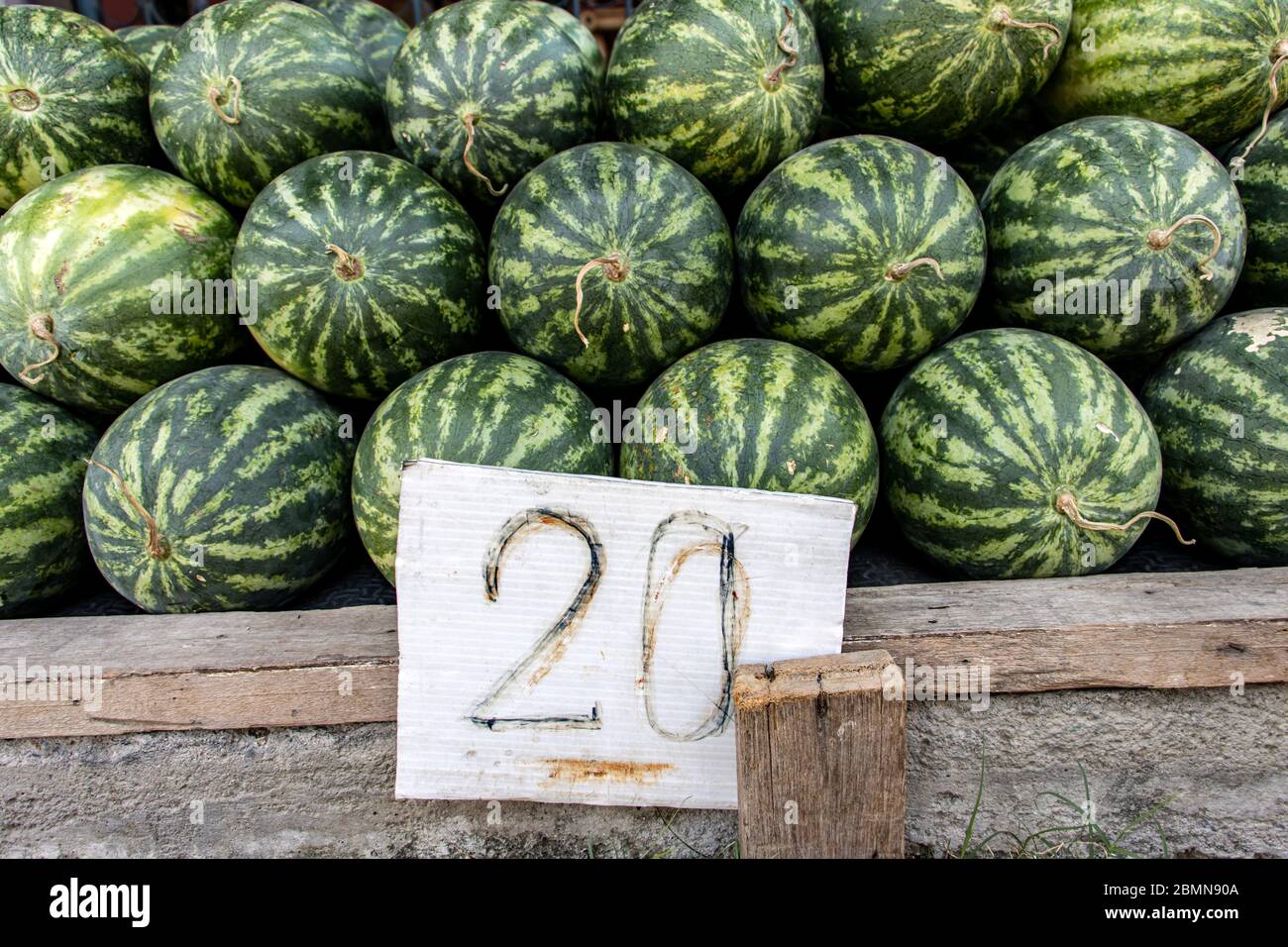 A pile of fresh water melons with price tag. Rows of watermelons for ...