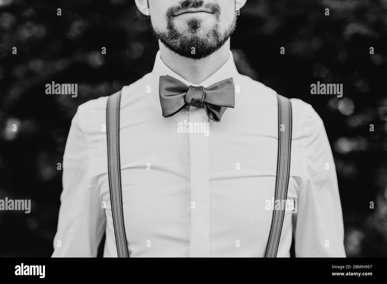 groom wearing a bow tie at a wedding Stock Photo - Alamy