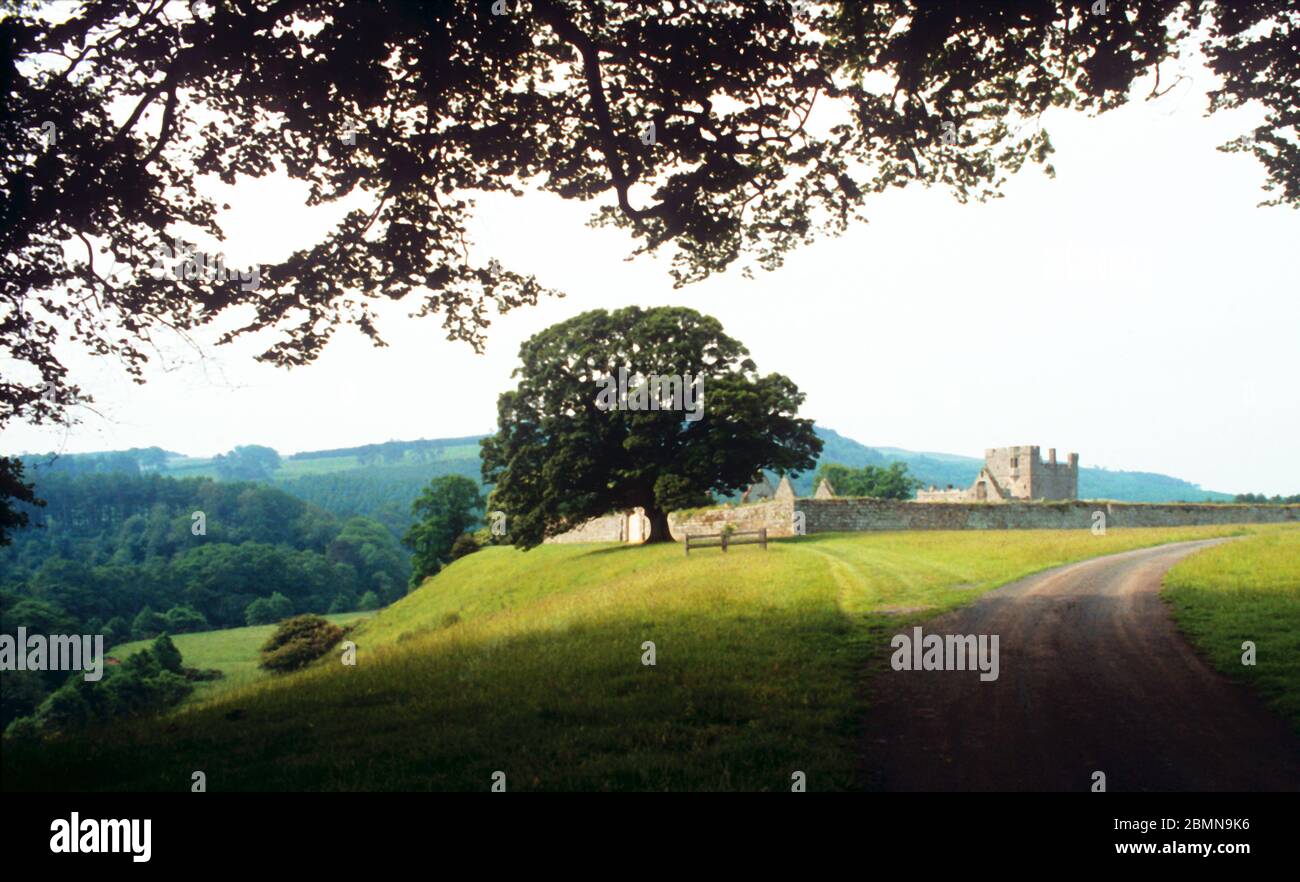 Hulne Priory, Alnwick, Northumberland Stock Photo - Alamy