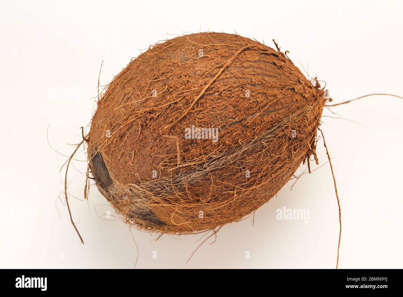 Ripe Coconut isolated on white background Stock Photo - Alamy