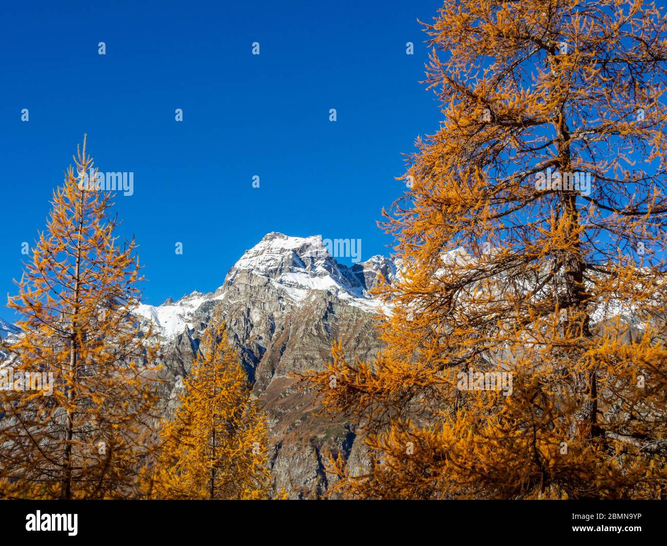 Autumn colors in the Italian alps of Alpe Devero Stock Photo - Alamy