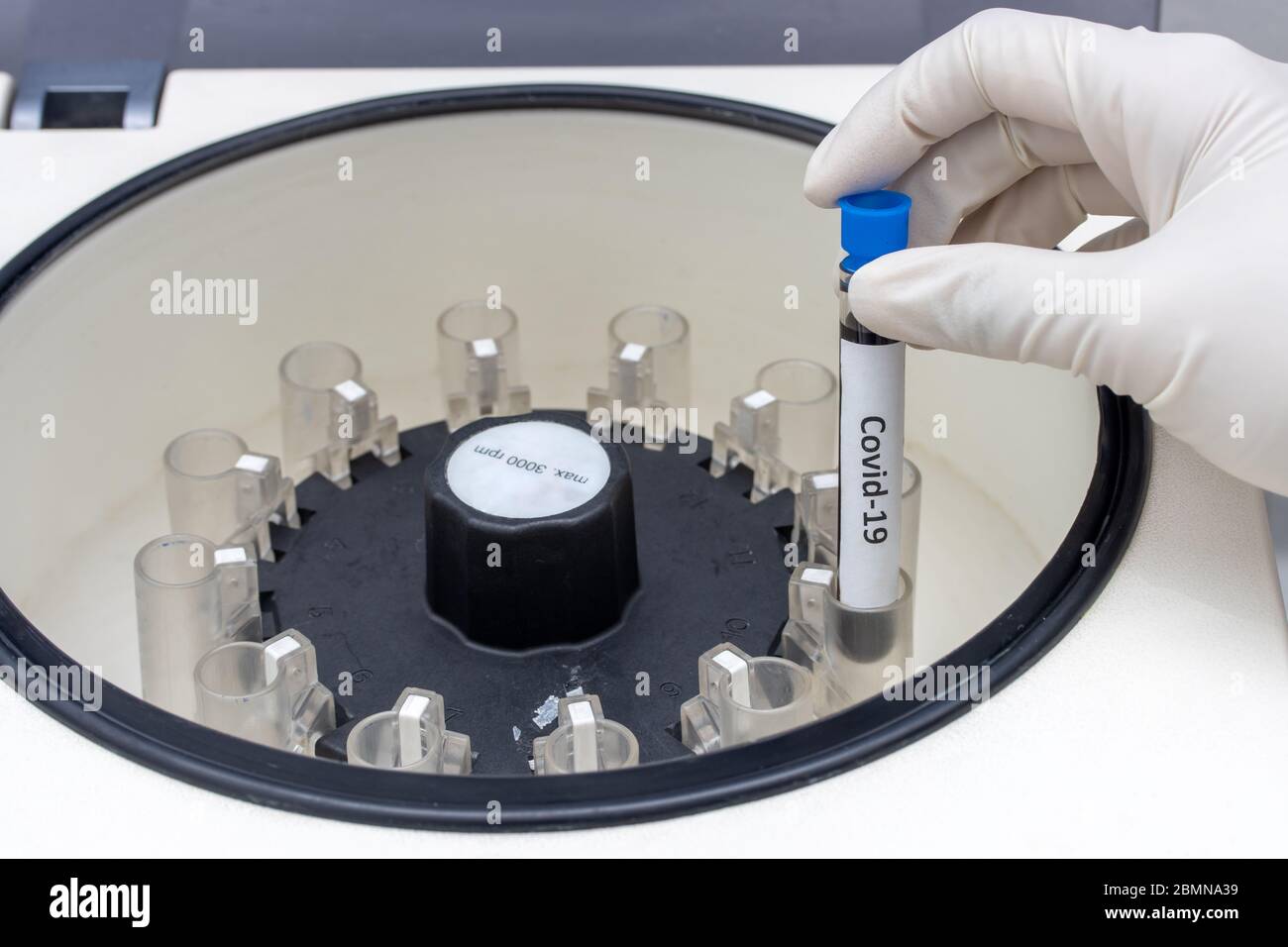 Research of virus in centrifuge machine at the lab. Hand in glove ...