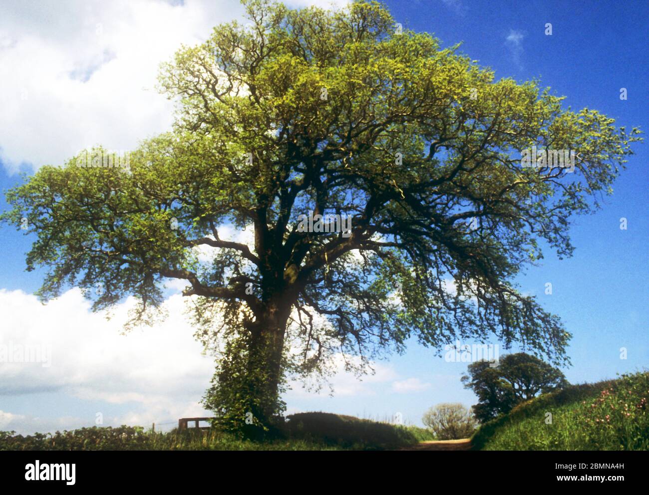 Alnwick castle to warkworth castle drive hi-res stock photography and ...