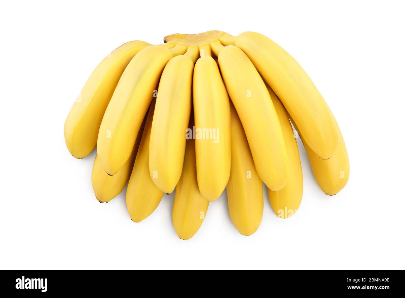 baby banana bunch isolated on white background with clipping path and ...