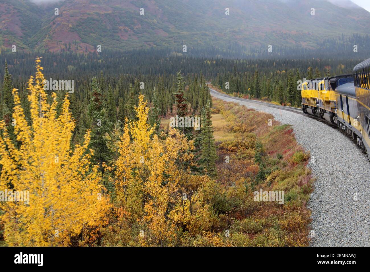 Alaska, Train ride in autumn landscape Stock Photo - Alamy