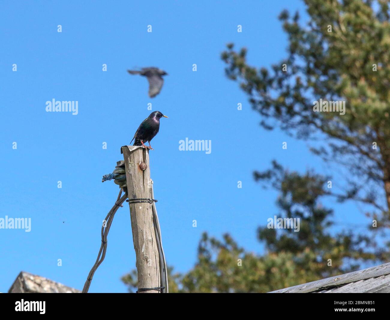 Magheralin hi-res stock photography and images - Alamy