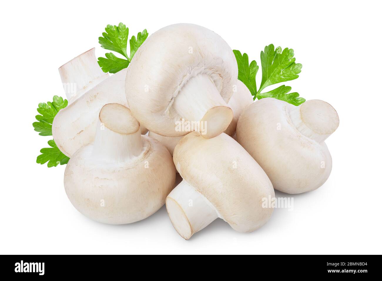 Fresh mushroom champignon isolated on white background with clipping ...