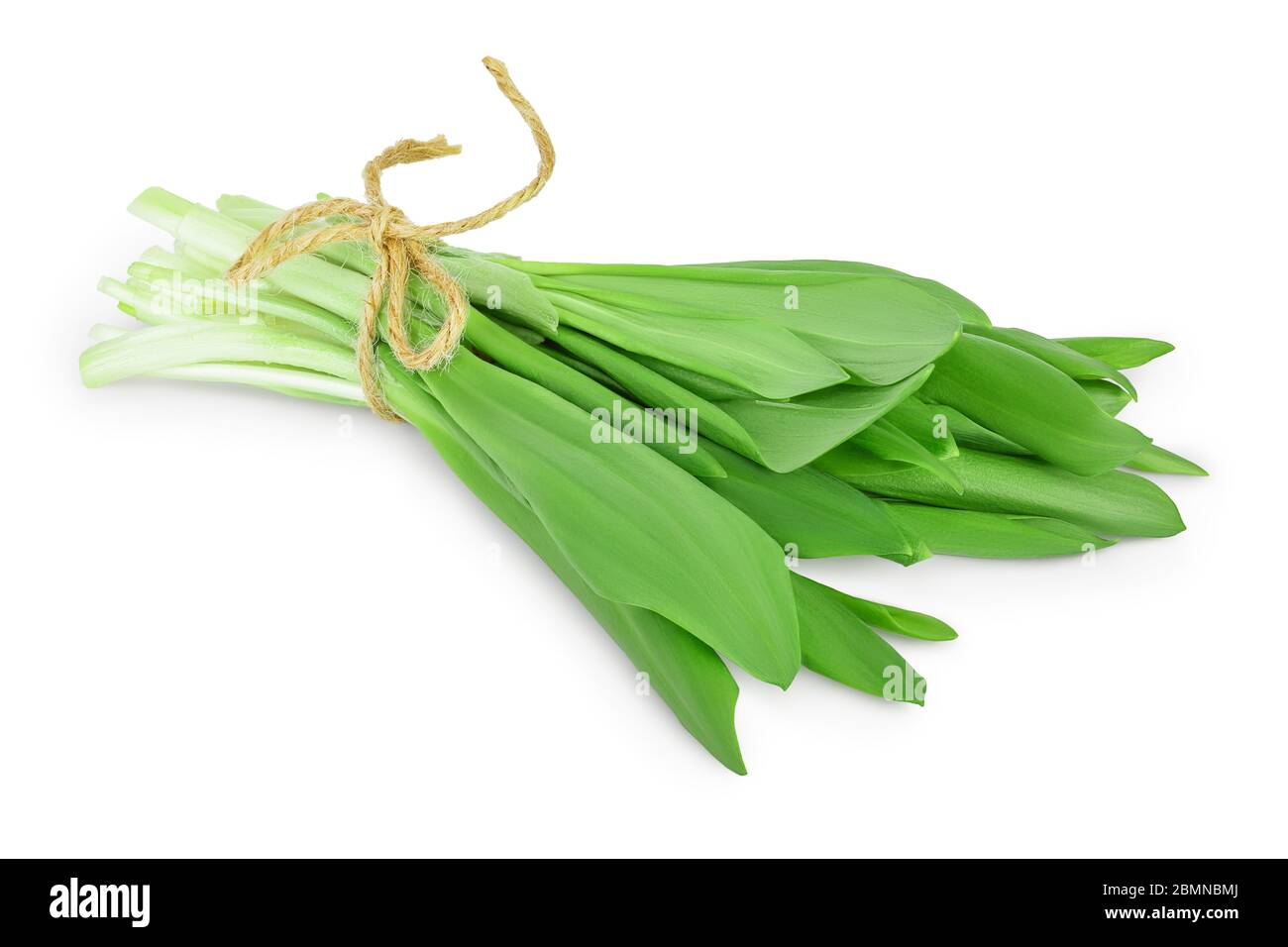 Ramson bunch vegetable isolated on white background with clipping path ...