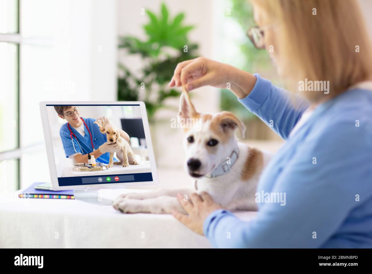 Online vet chat store