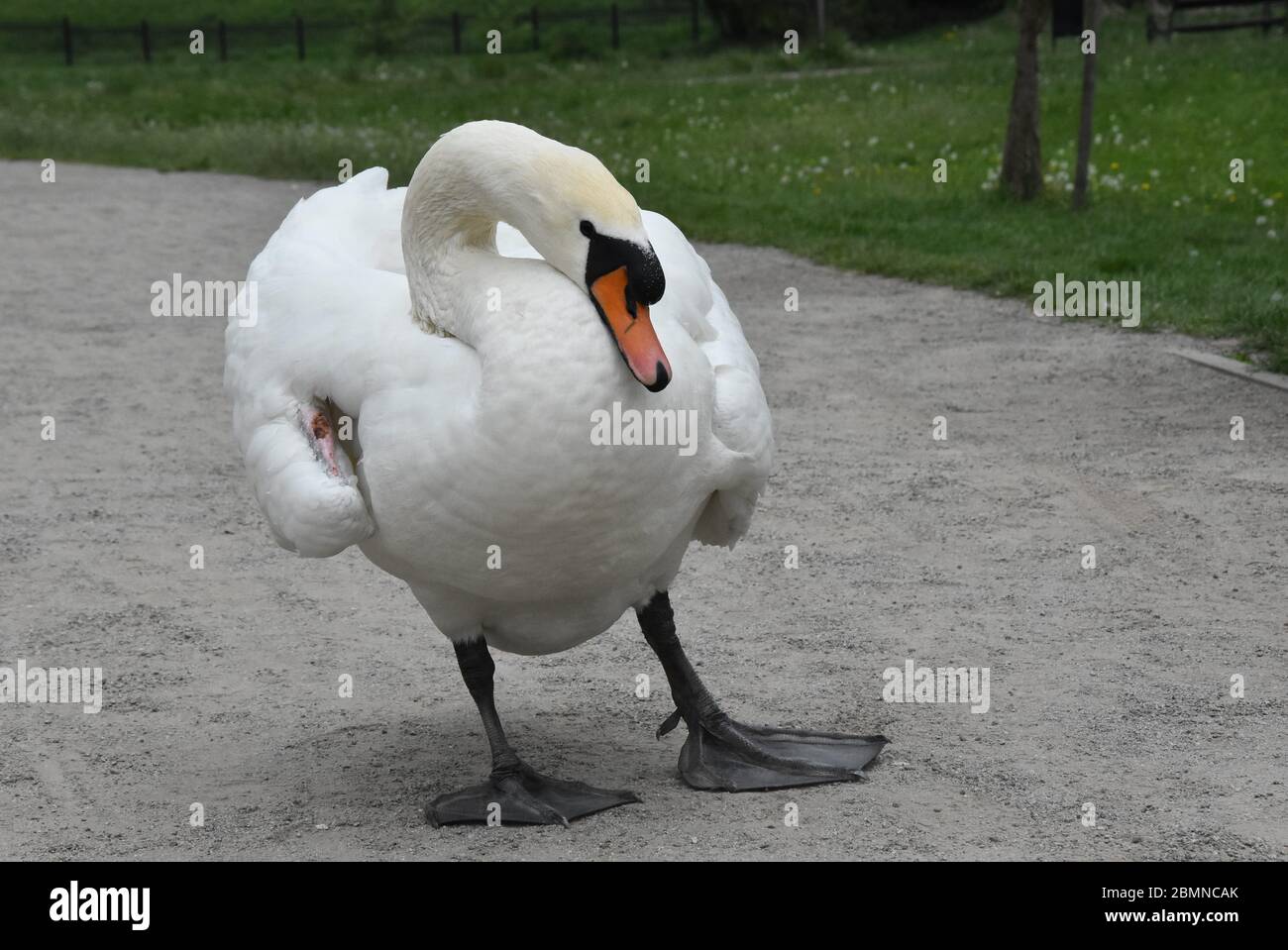 Lubin, Poland. 10th May, 2020. Dinosaur Park in Lubin. There are ...