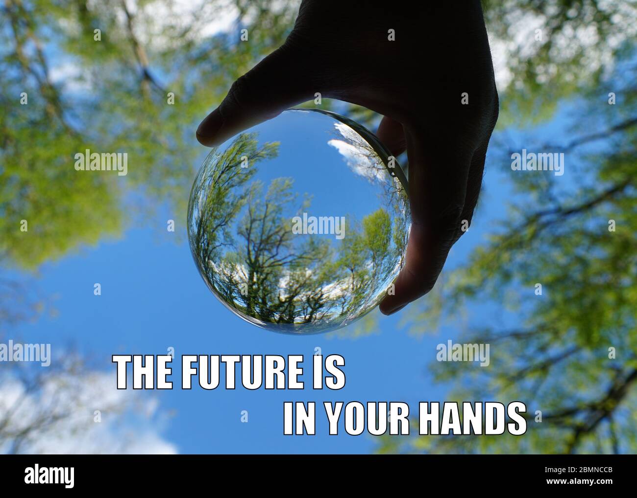 Future Is In Your Hands Quote James Wolfensohn Quote: The Future Is In