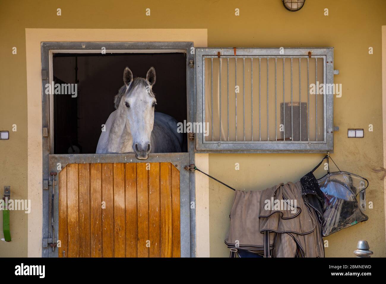 Horses in the stable in farm in deep countryside small town in Czech ...