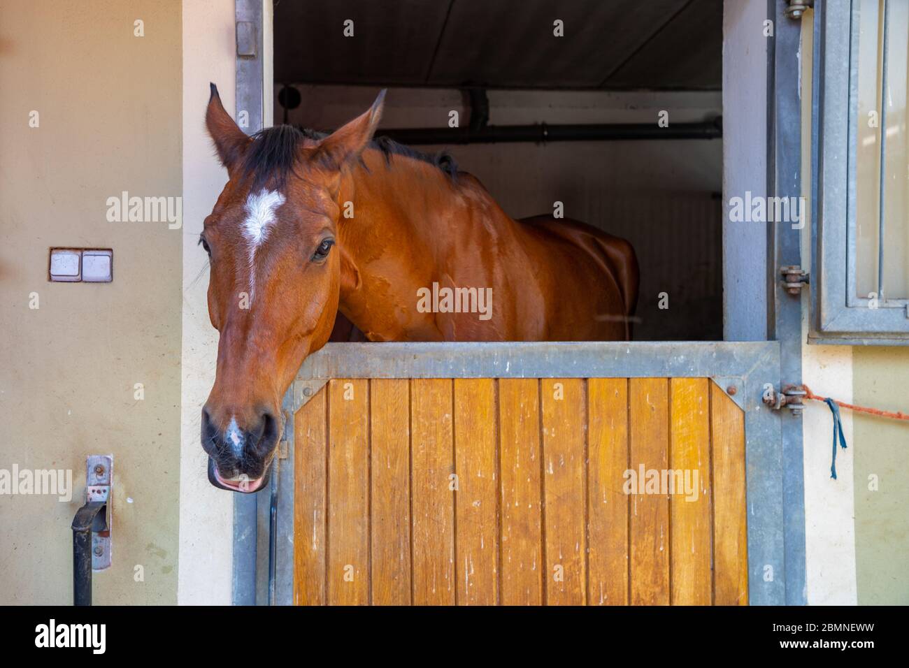 Equestrian stable exterior hi-res stock photography and images - Alamy