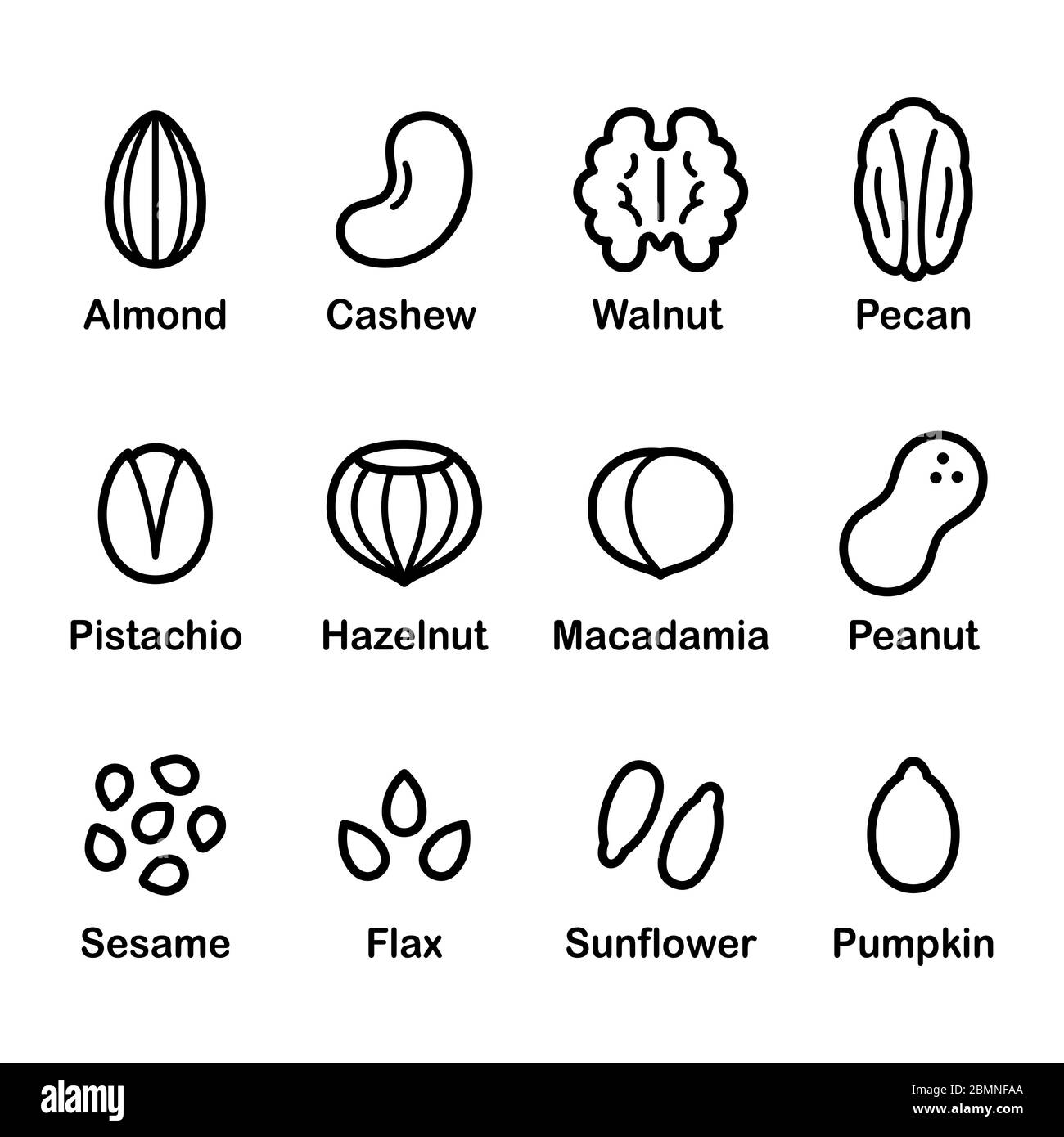 Nut kernel icon Stock Vector Images - Alamy