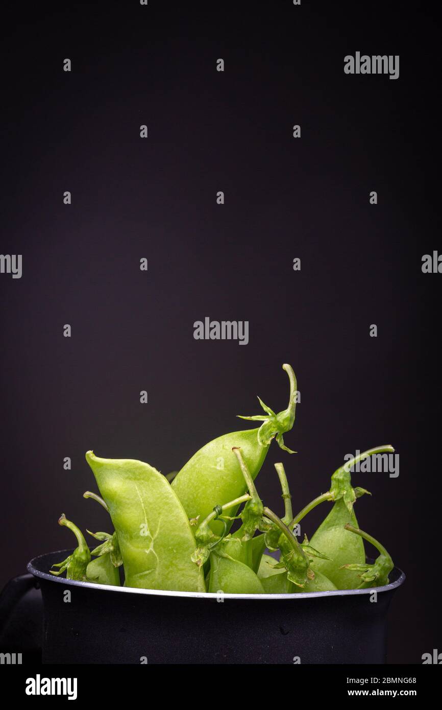 Vertical frame with a bunch of vibrant green pea pods fruit tops ...