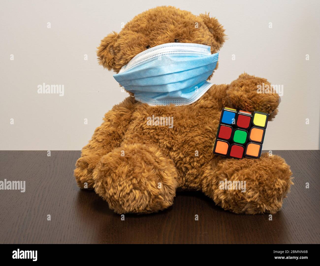 Square bear block puzzle hi-res stock photography and images - Alamy
