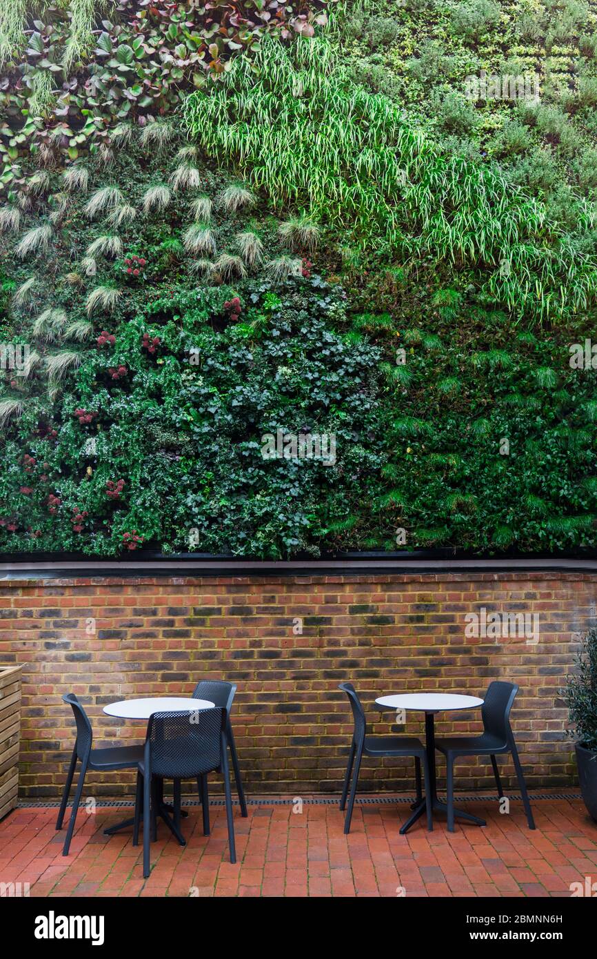 Green wall in loft cafe interior. Eco architecture. Ecology and green ...
