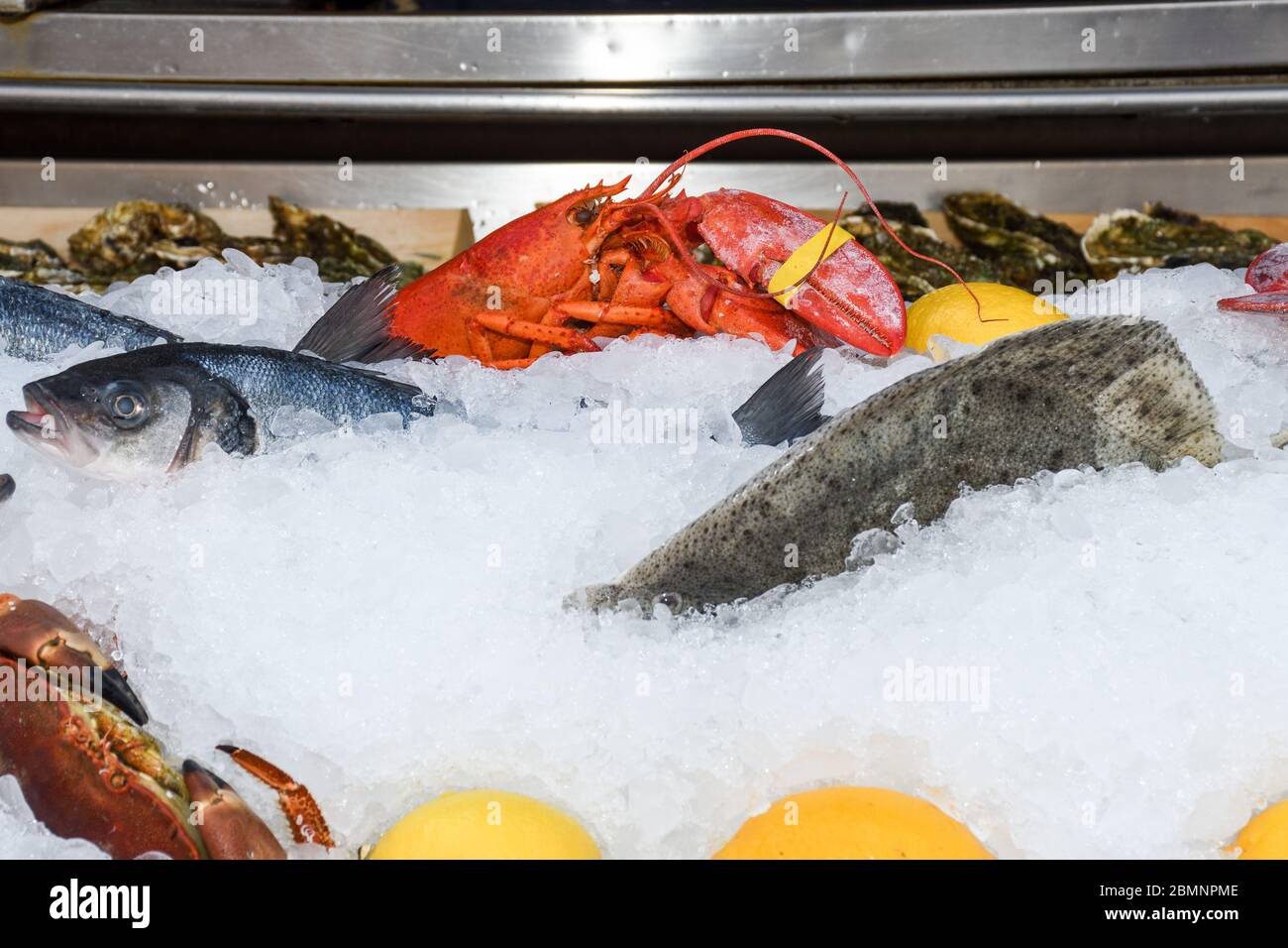 Fine selection of crustacean for dinner. Lobster, crab and jumbo shrimps and oysters on dark ...