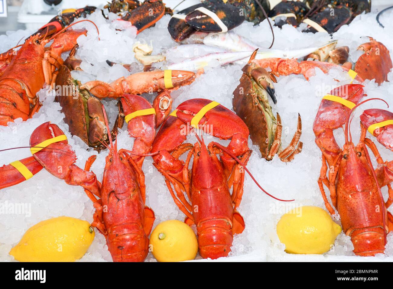 Fine selection of crustacean for dinner. Lobster, crab and jumbo shrimps and oysters on dark ...