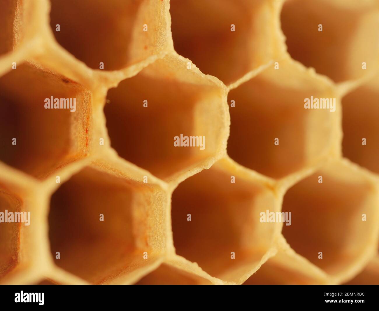 Close up of bee hive honey bee hexagonal cells Stock Photo - Alamy