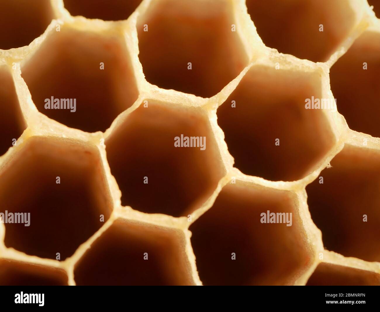 Close up of bee hive honey bee hexagonal cells Stock Photo - Alamy