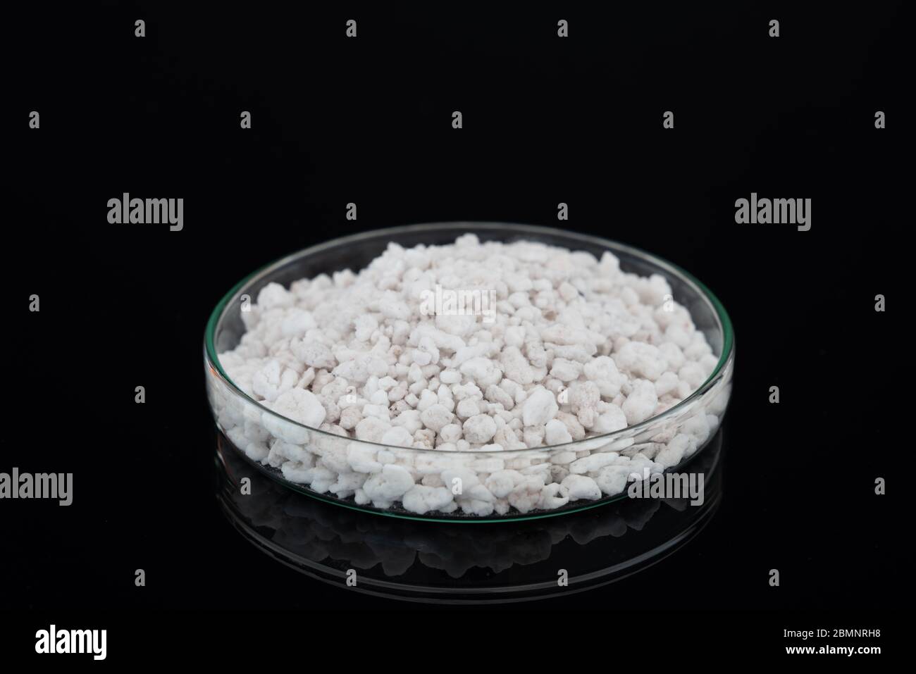 perlite mineral Stone in petri dish on black background Stock Photo - Alamy