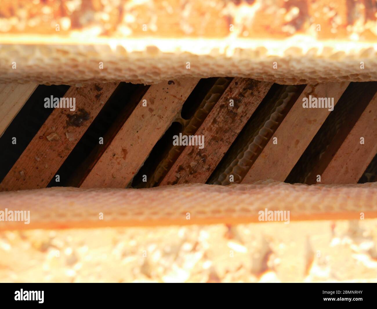 Close up of honey bee hive sections with wax and honey Stock Photo - Alamy
