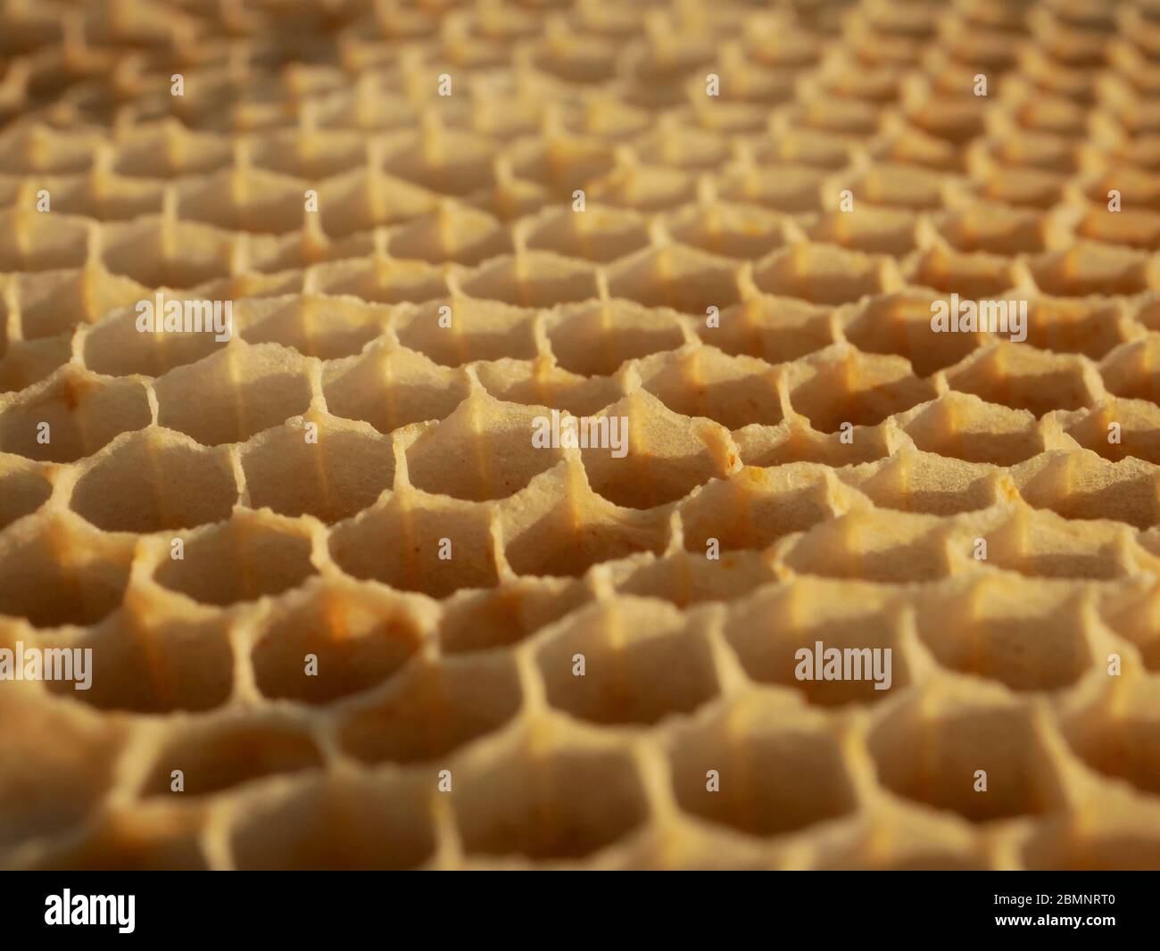 Close up of bee hive honey bee hexagonal cells Stock Photo - Alamy