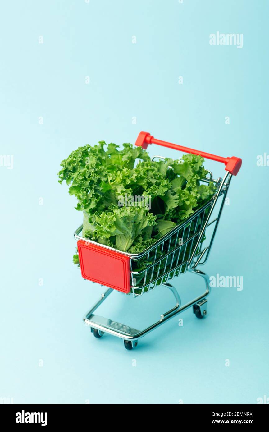 Salad in a supermarket cart. Cart with groceries and food, vegetables ...