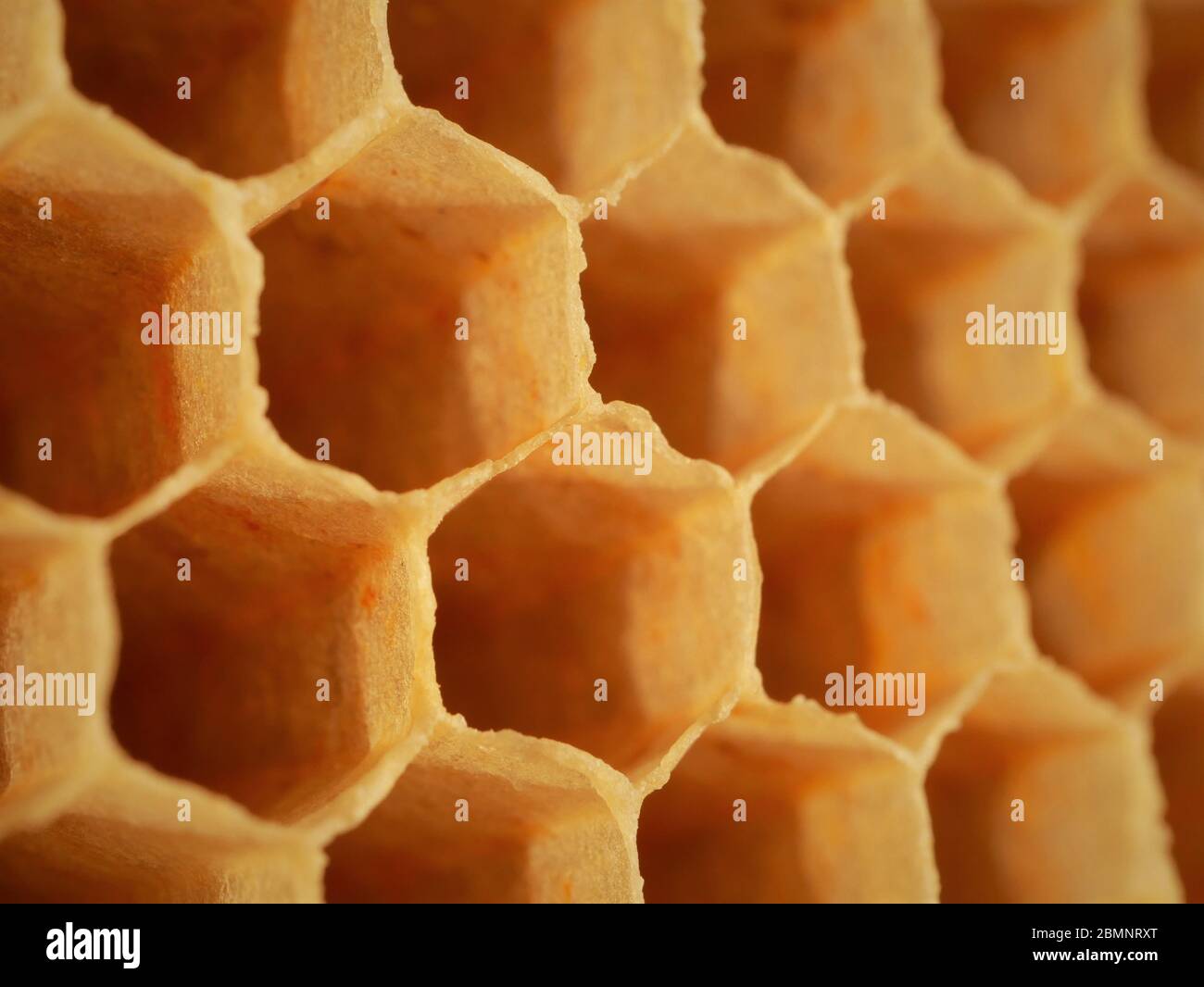 Close up of bee hive honey bee hexagonal cells Stock Photo - Alamy