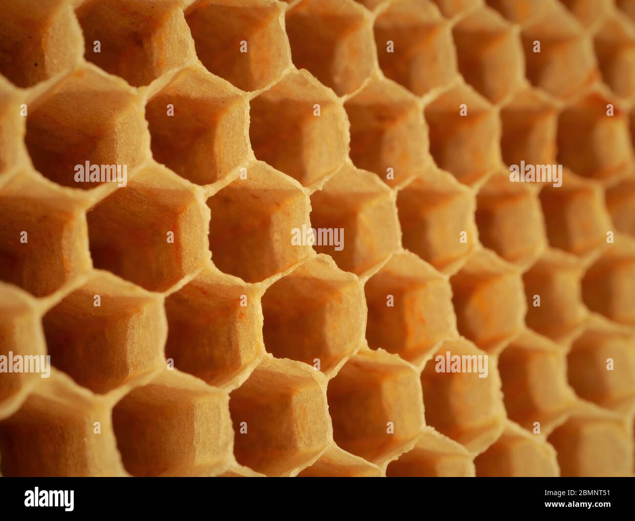 Close up of bee hive honey bee hexagonal cells Stock Photo - Alamy