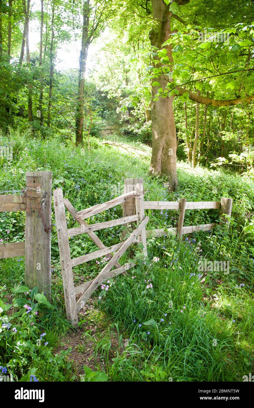 Five bar wooden field gate hi-res stock photography and images - Alamy