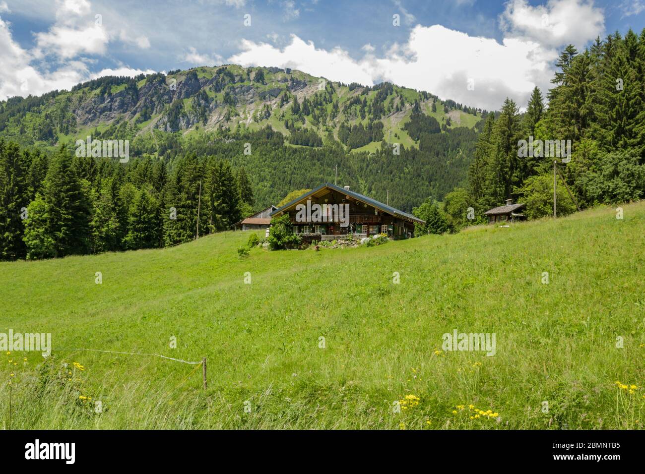 Classic swiss chalet in the middle of green alpine meadows . Cozy rural ...