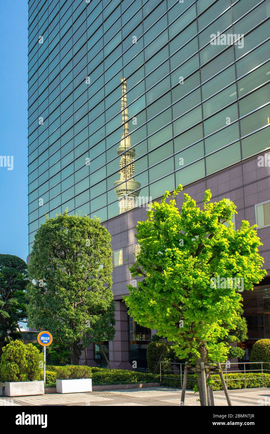 Tokyo Skytree tower reflecting in the office building glass facade ...