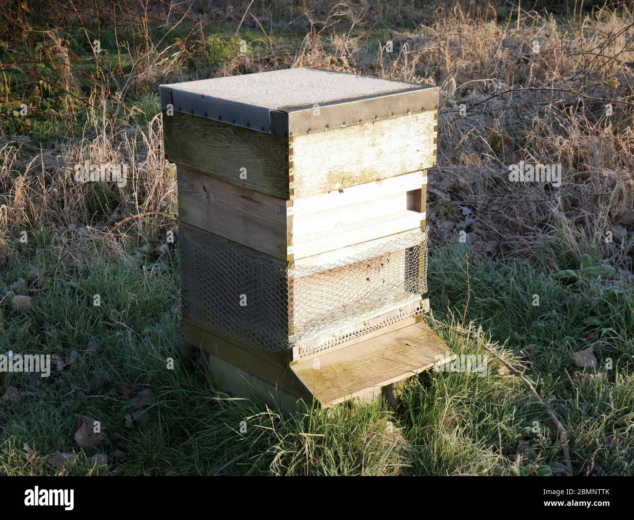 Bee hive honey bee home nest at woodland edge Stock Photo - Alamy