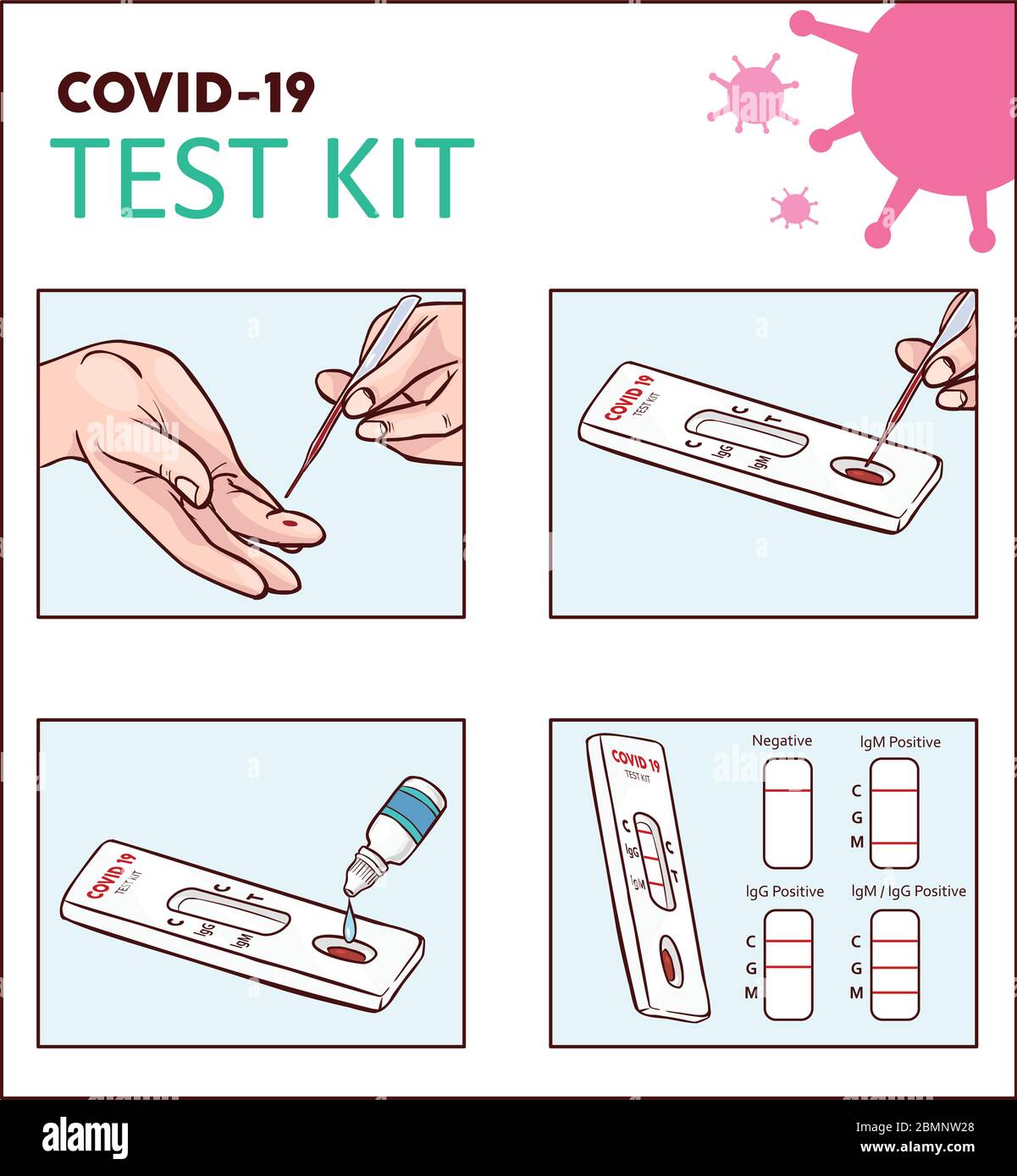 Vector illustration of COVID-19 IgG/IgM Rapid Test for antibodies ...