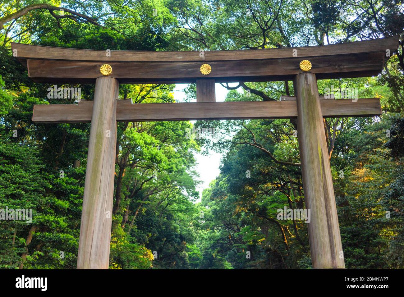 Torii gate leading to the Meiji Shrine complex. Meiji Shrine Meiji ...