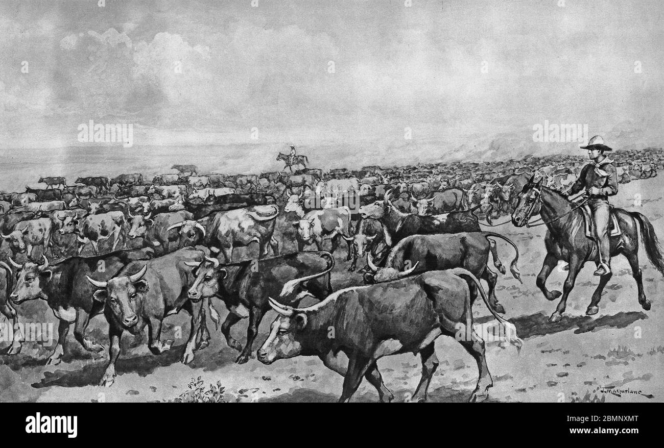 Cattle Drive 1866