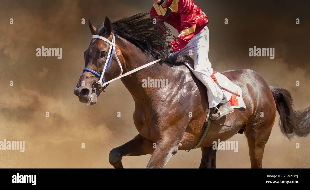 racing horse portrait in action on competition Stock Photo - Alamy