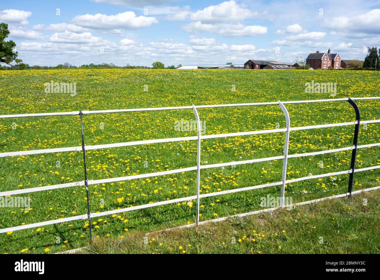 Black and white wrought iron railings at road junctions and bends in ...