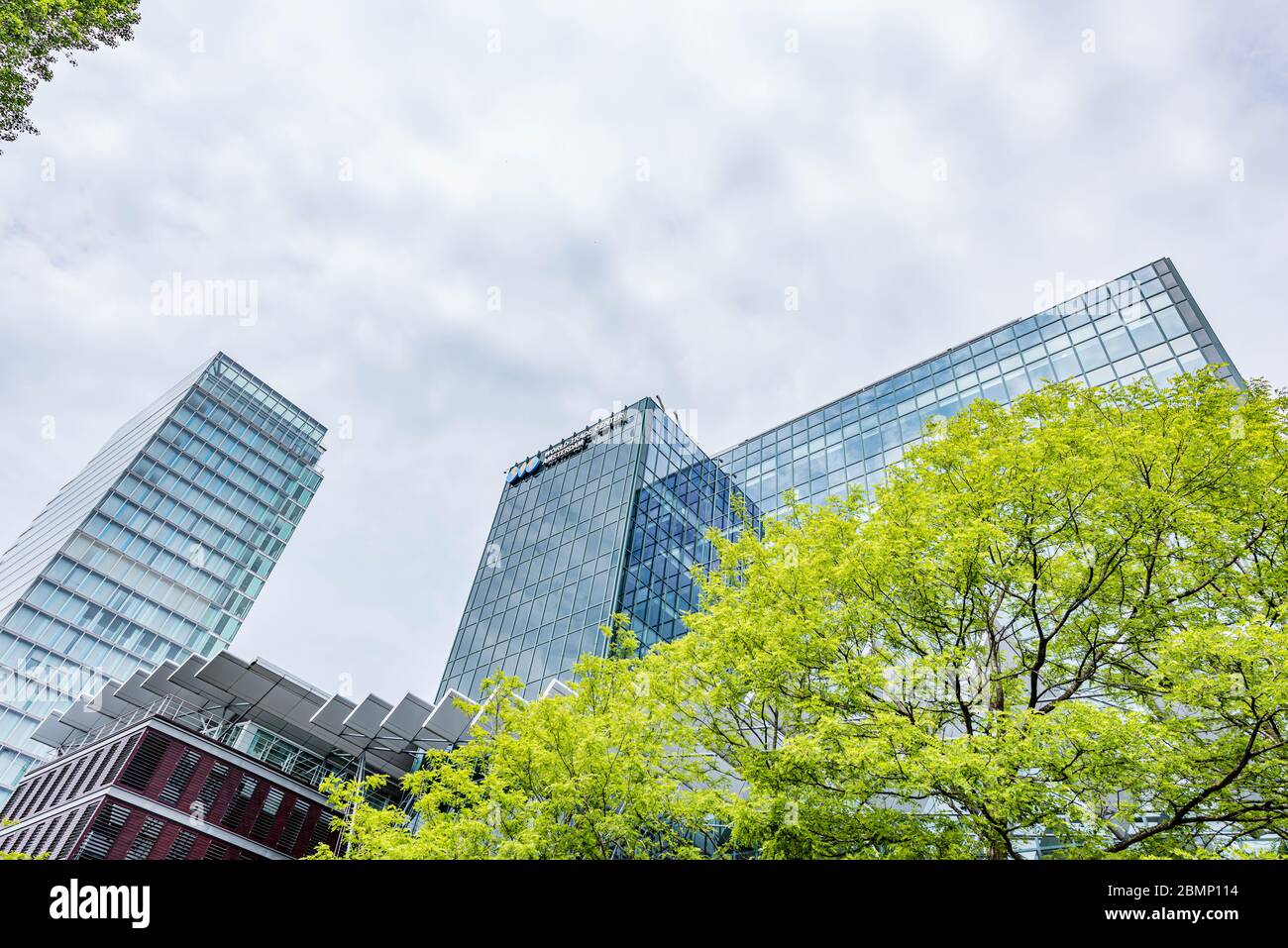 Amsterdam 29 September 2019 glass tower buildings in the financial ...