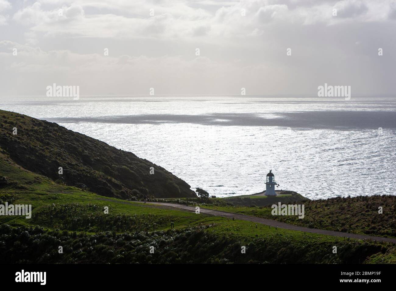 Rerenga hi-res stock photography and images - Alamy