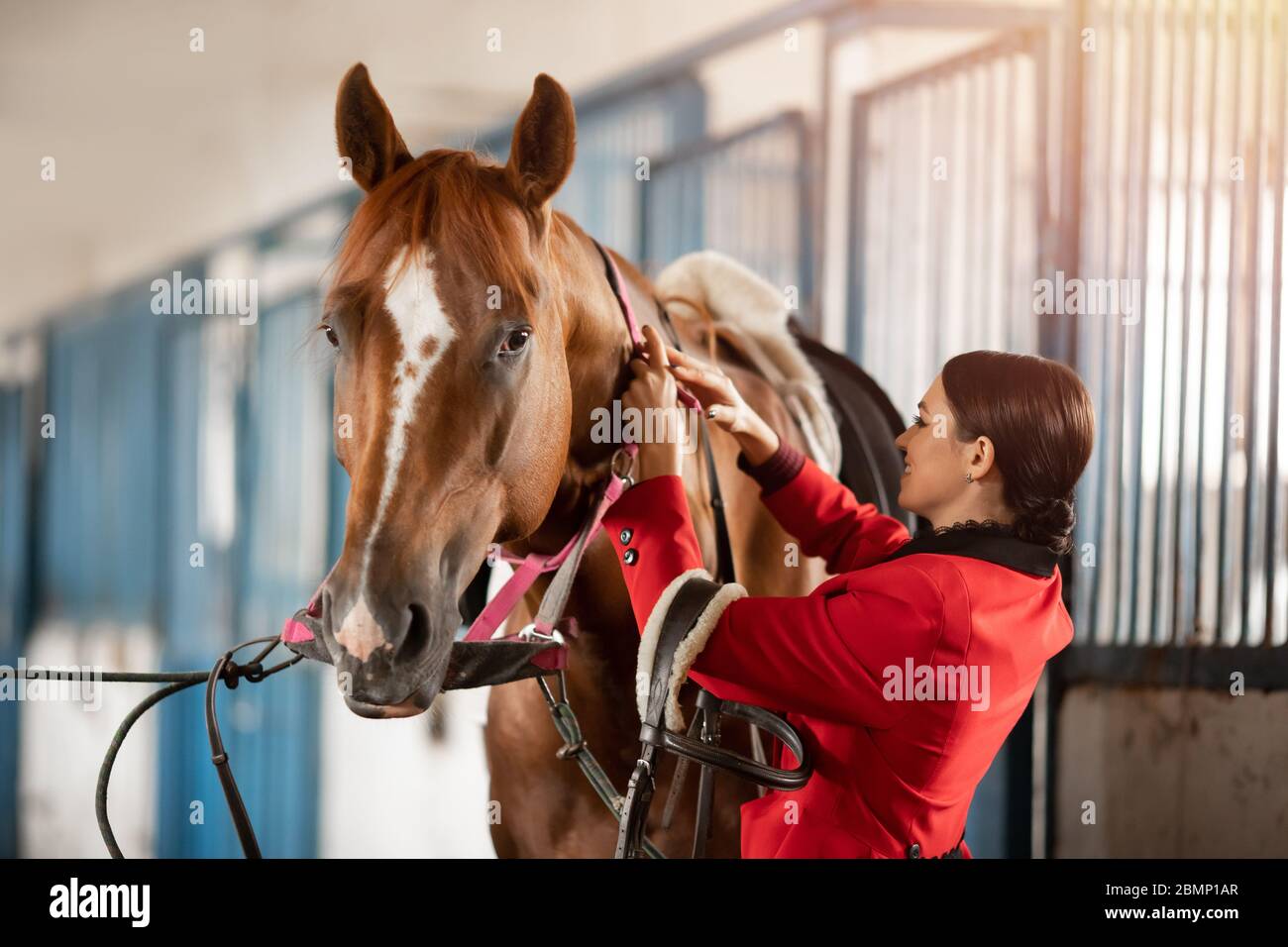 Woman grooming owner stall stable hi-res stock photography and images ...