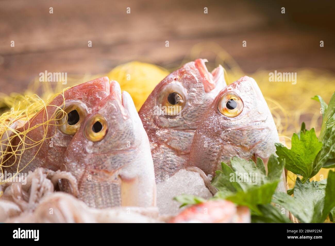 Fresh fish on the counter at a fish store close up Stock Photo - Alamy