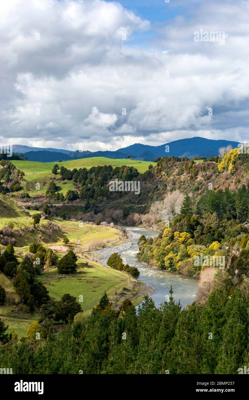 Whanganui River Landscape from Piriaka Lookout in North Island, New ...