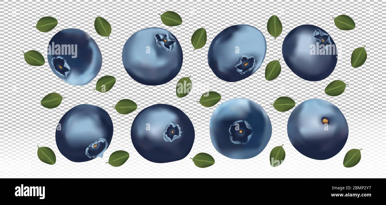 Vitamin rich fruits Stock Vector Images - Alamy